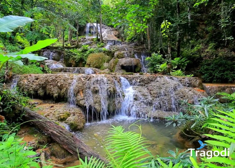 Travel Experiences in Ninh Binh, Vietnam - Tragodi