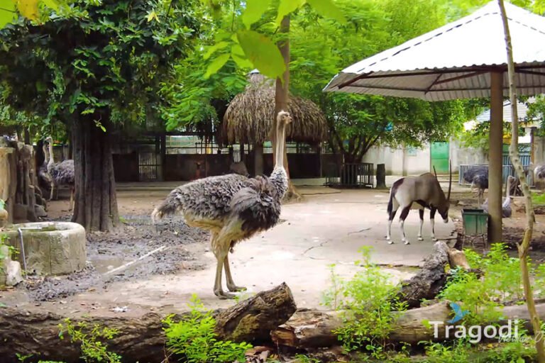 Top 20 Things To Do In Ho Chi Minh City, Vietnam - Tragodi