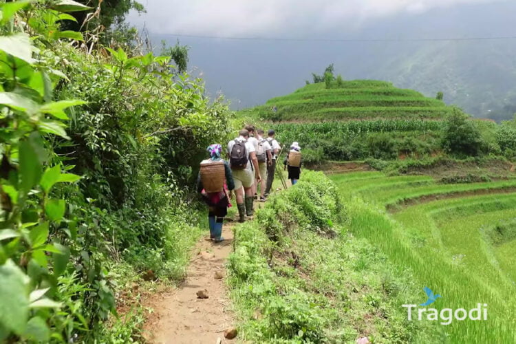 Top 13 Things To Do In Sapa, Vietnam - Tragodi